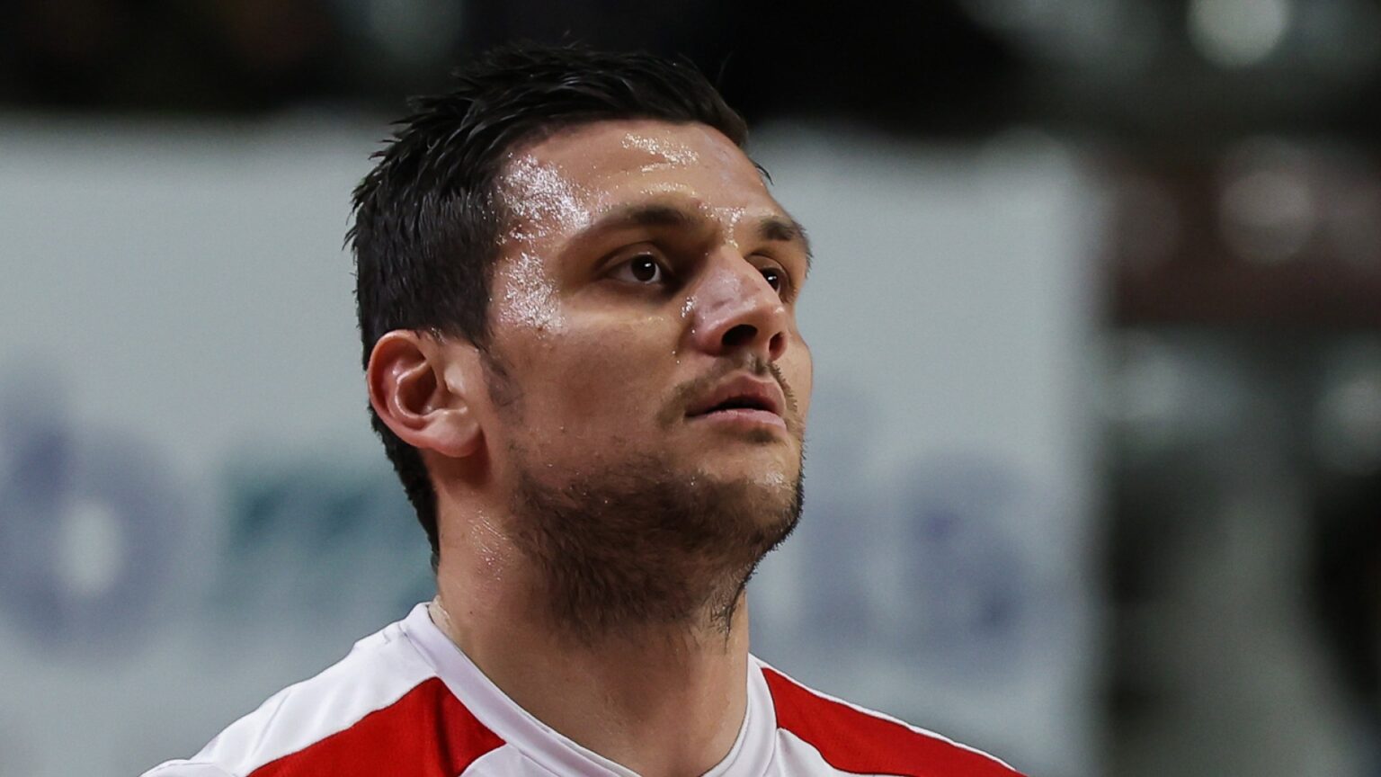 Alessandro Gentile takes a step back and returns to talk about Olimpia ...